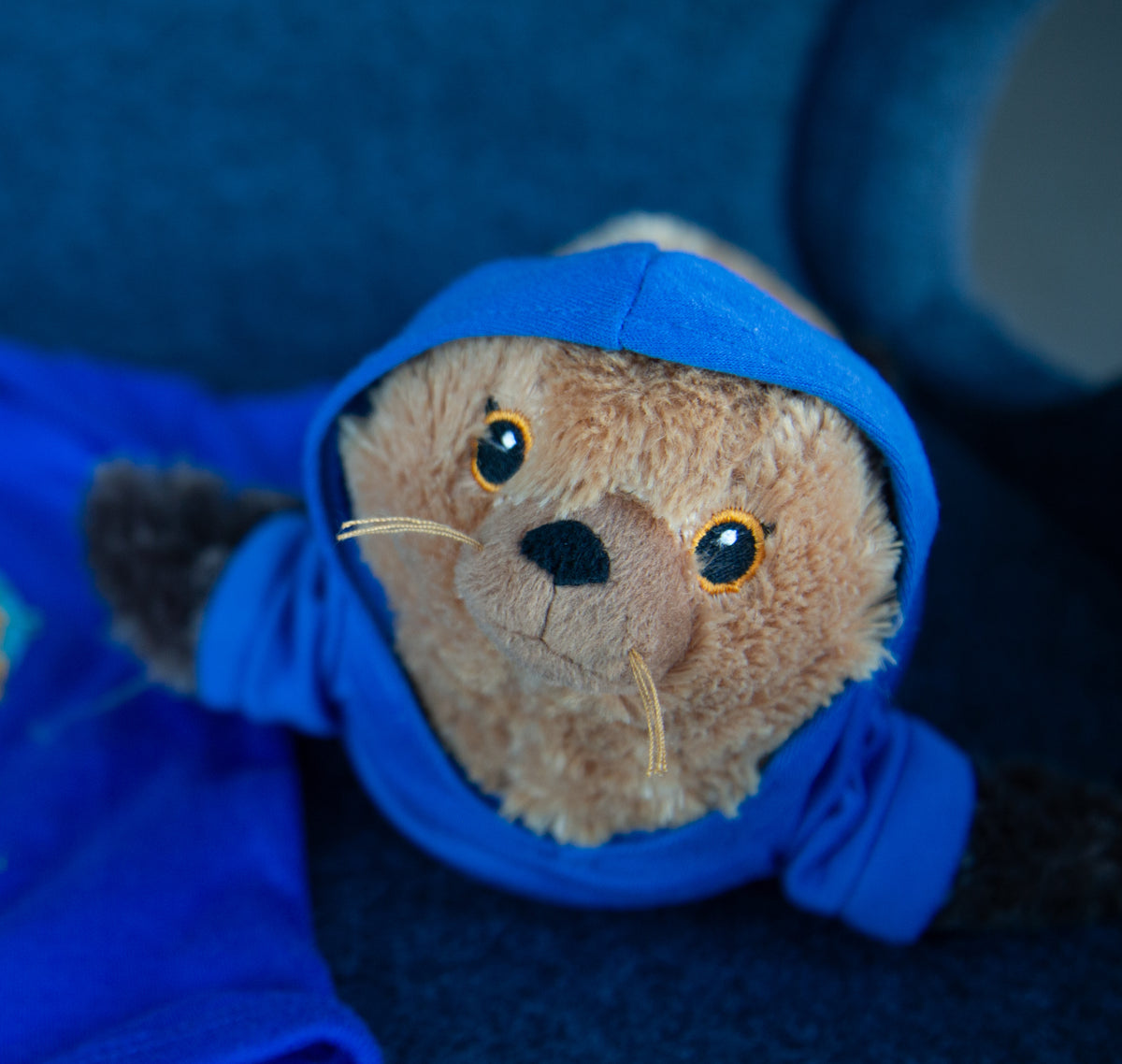 Toys – AGU Central Store